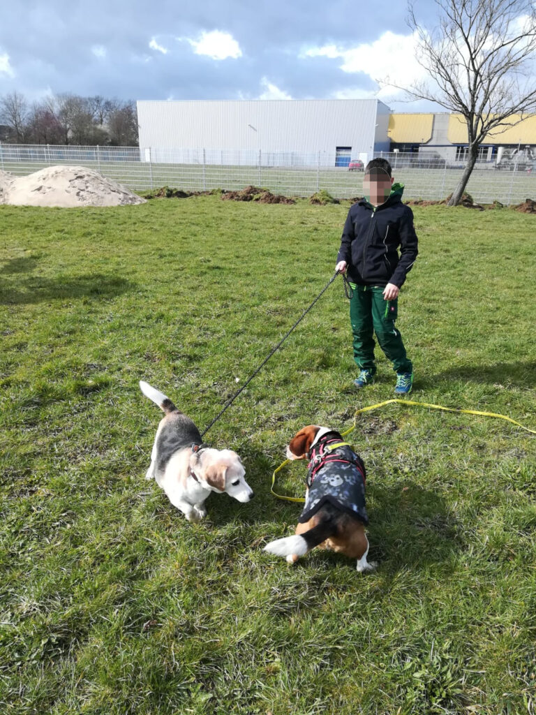 Hundewiese in Kalkar-Kehrum: 2. Bautag erfolgreich - VHKK Hundefreilauf ...