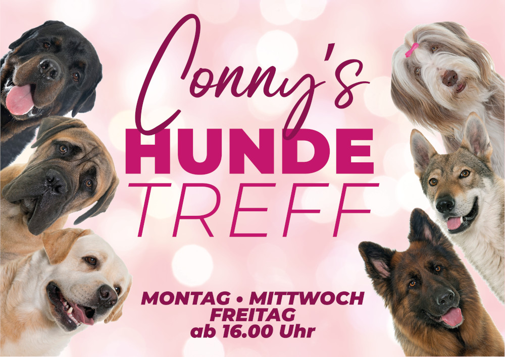 VHKK bei Facebook: Tritt unserer Community bei! - VHKK Hundefreilauf ...