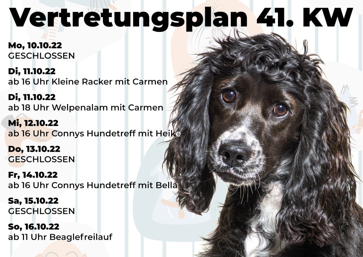 Vertretungsplan Hundewiese 41. KW - VHKK Hundefreilauf – Hundewiese für ...